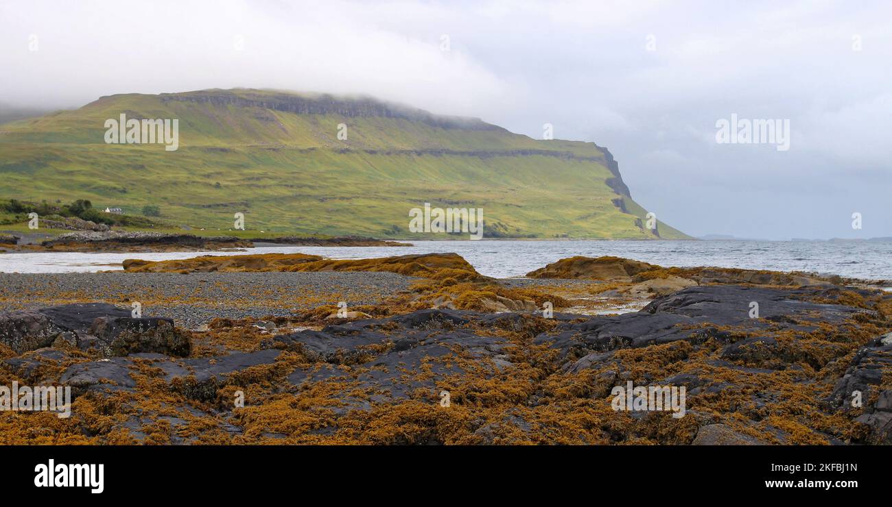 Green Cliffs and Seaweed Covered Rocks at Loch na Keal, Mull, Isle of ...