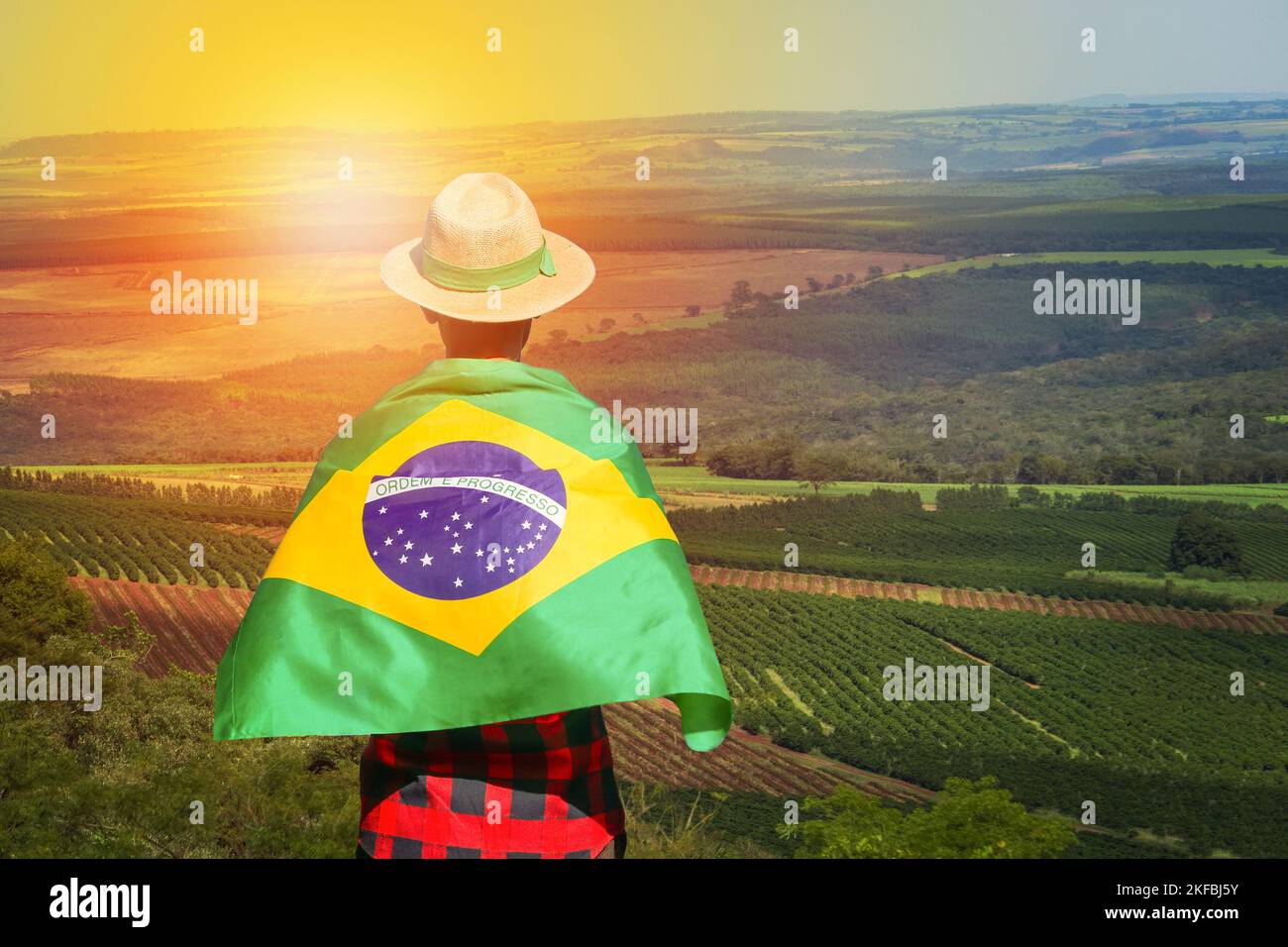 Brazil agriculture hi-res stock photography and images - Alamy