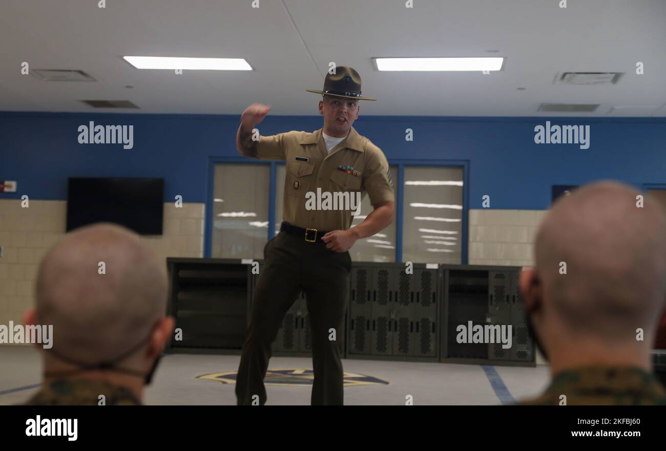 Recruits with Lima Company, 3rd Recruit Training Battalion, meet their ...