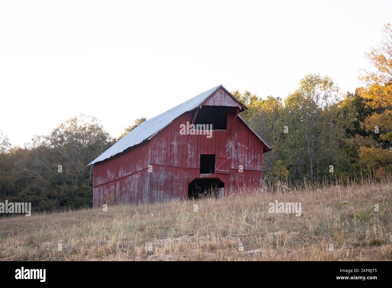 An abandoned red wooden barn with worn paint in a yellow field ...