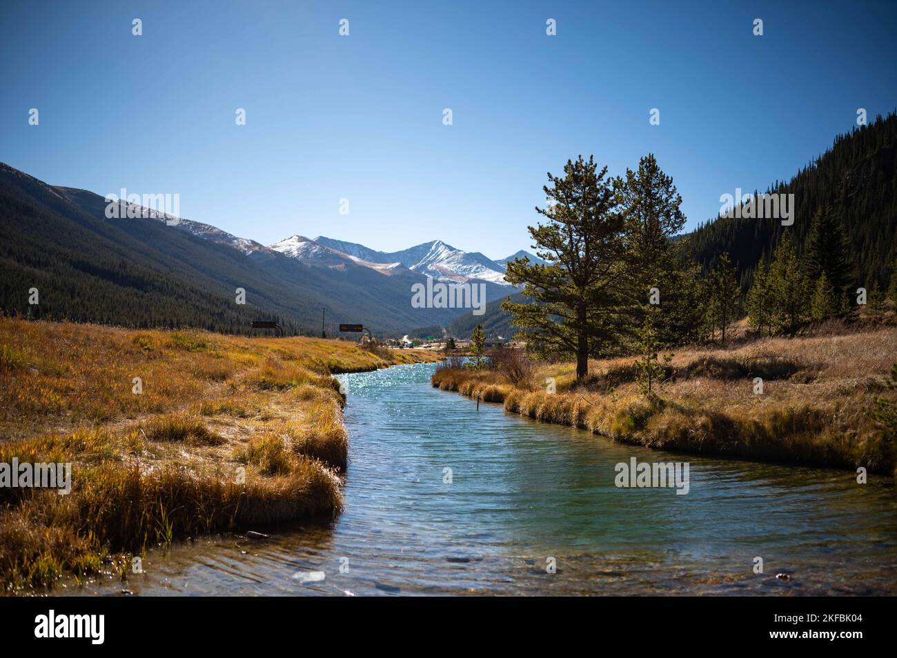 A gorgeous view of a narrow river surrounded by golden fields, thick ...