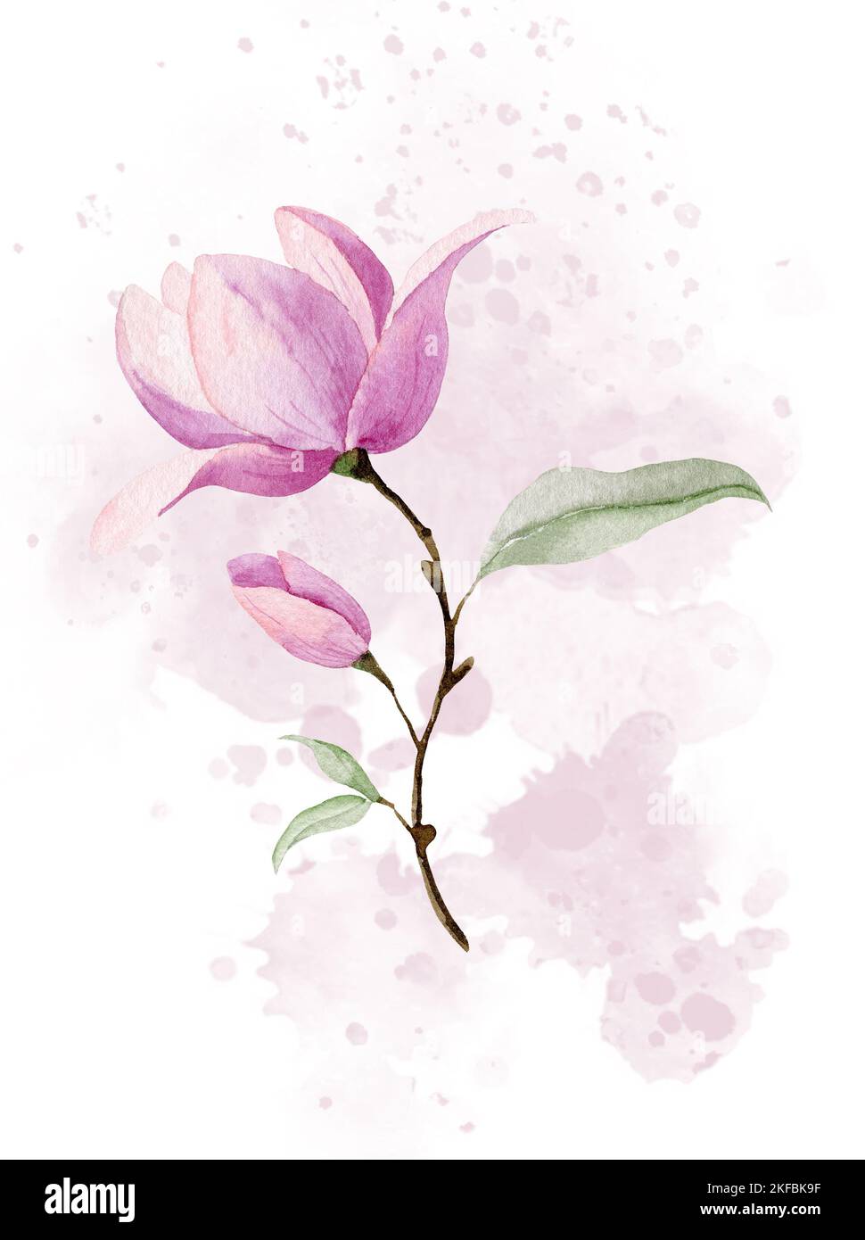 Pink Magnolia Flower on delicate abstract spot. Blooming plant with ...