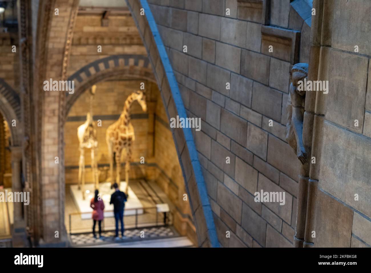Carving in the terracotta stone in the interior of the Natural History ...