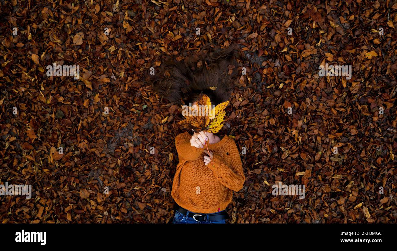The brunette female holding the yellow maple leaf in her hand while ...