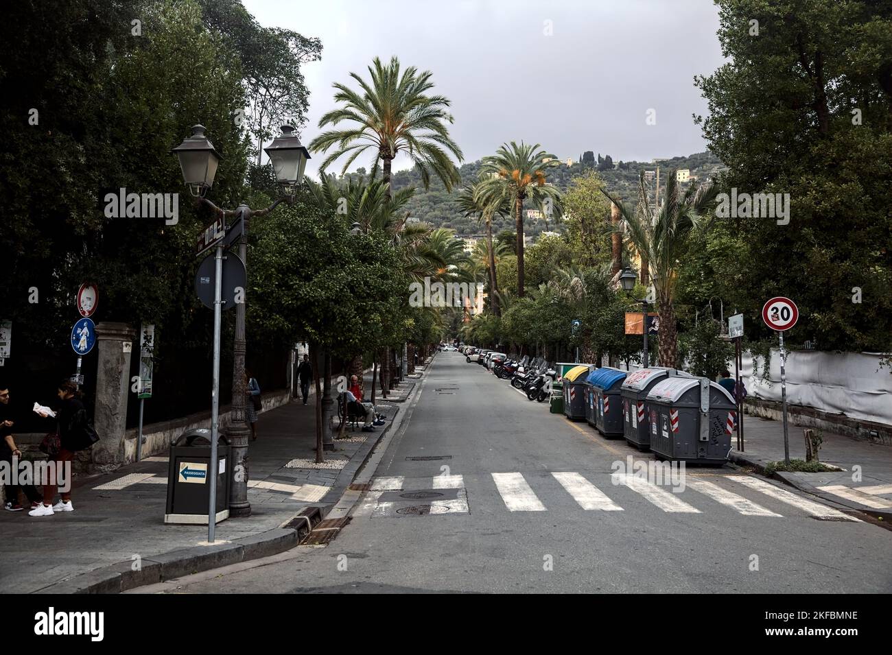 Uphill street bordered by palms Stock Photo - Alamy
