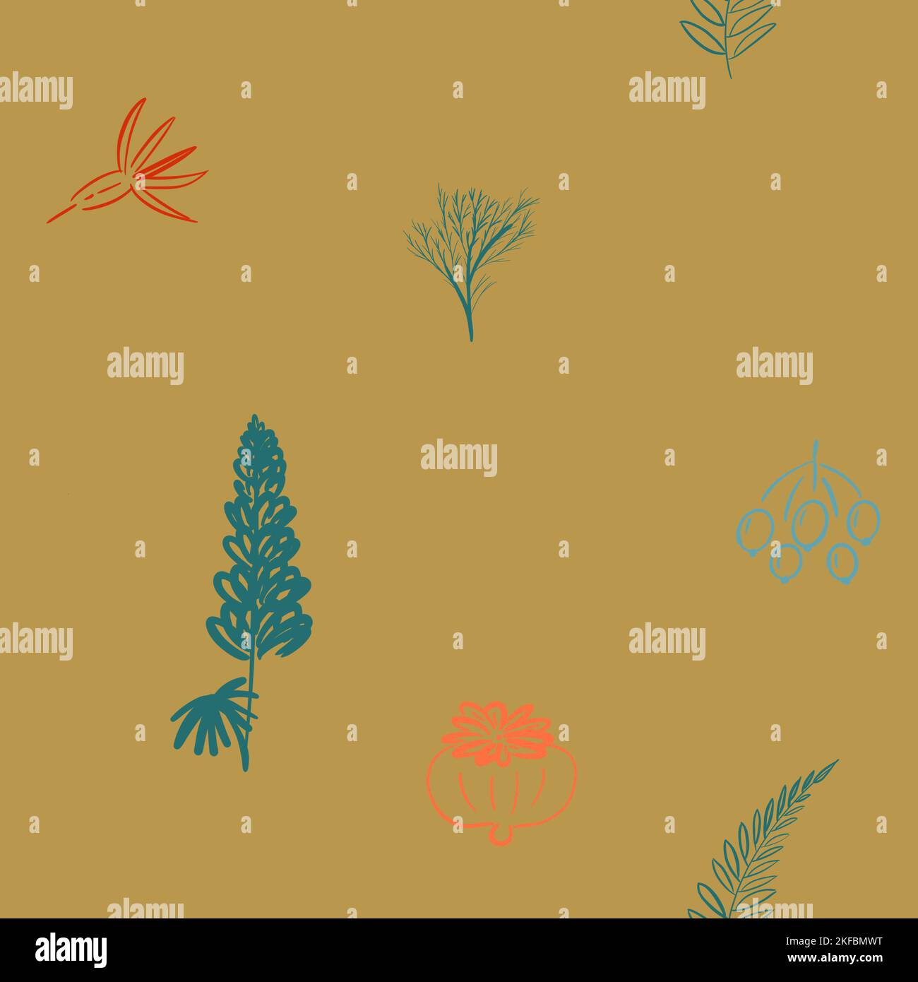 Floral seamless pattern made of blossom meadow plants and field flowers ...