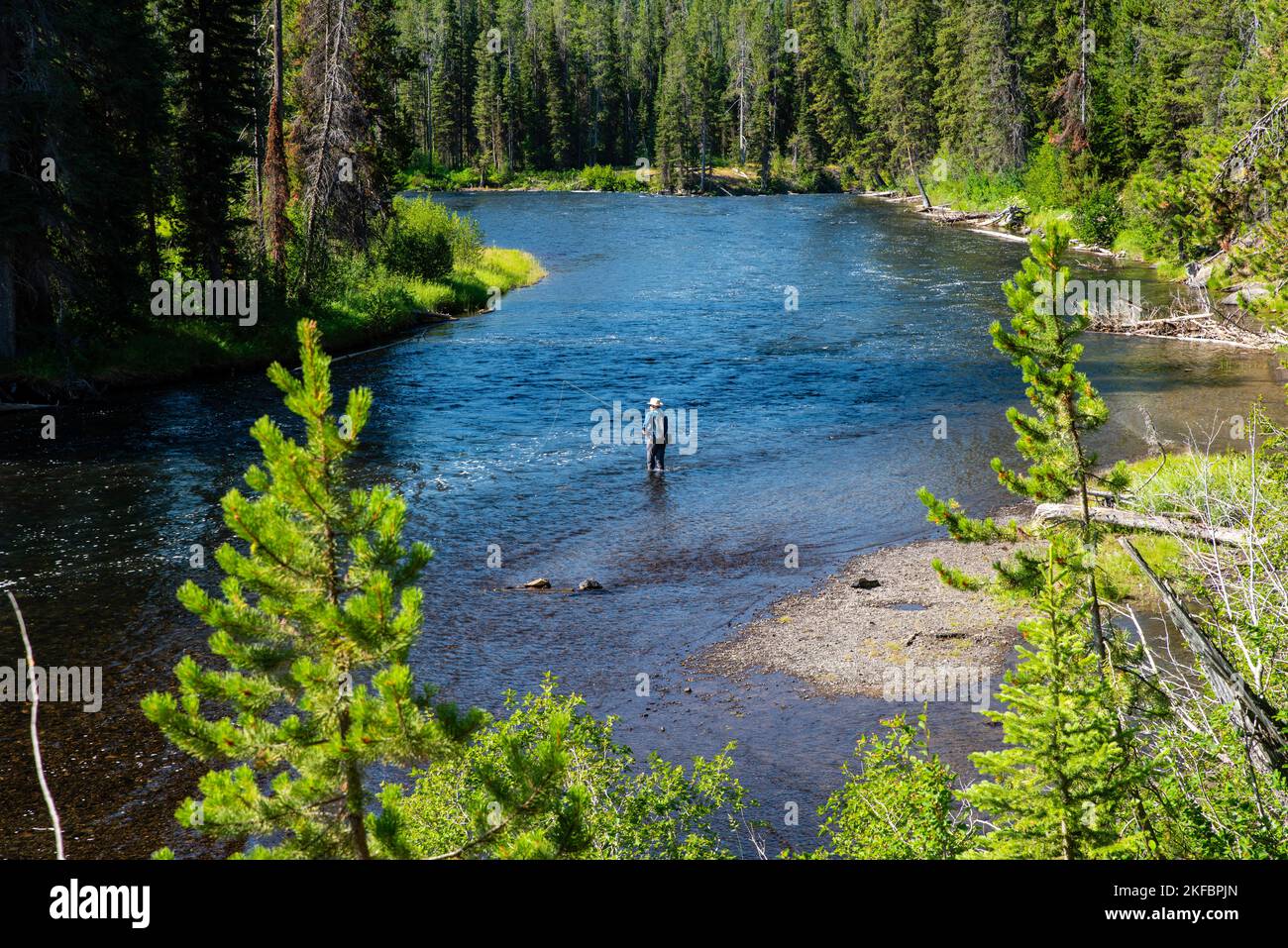 An angler tests his luck trout fishing in the Fall River in the SW ...