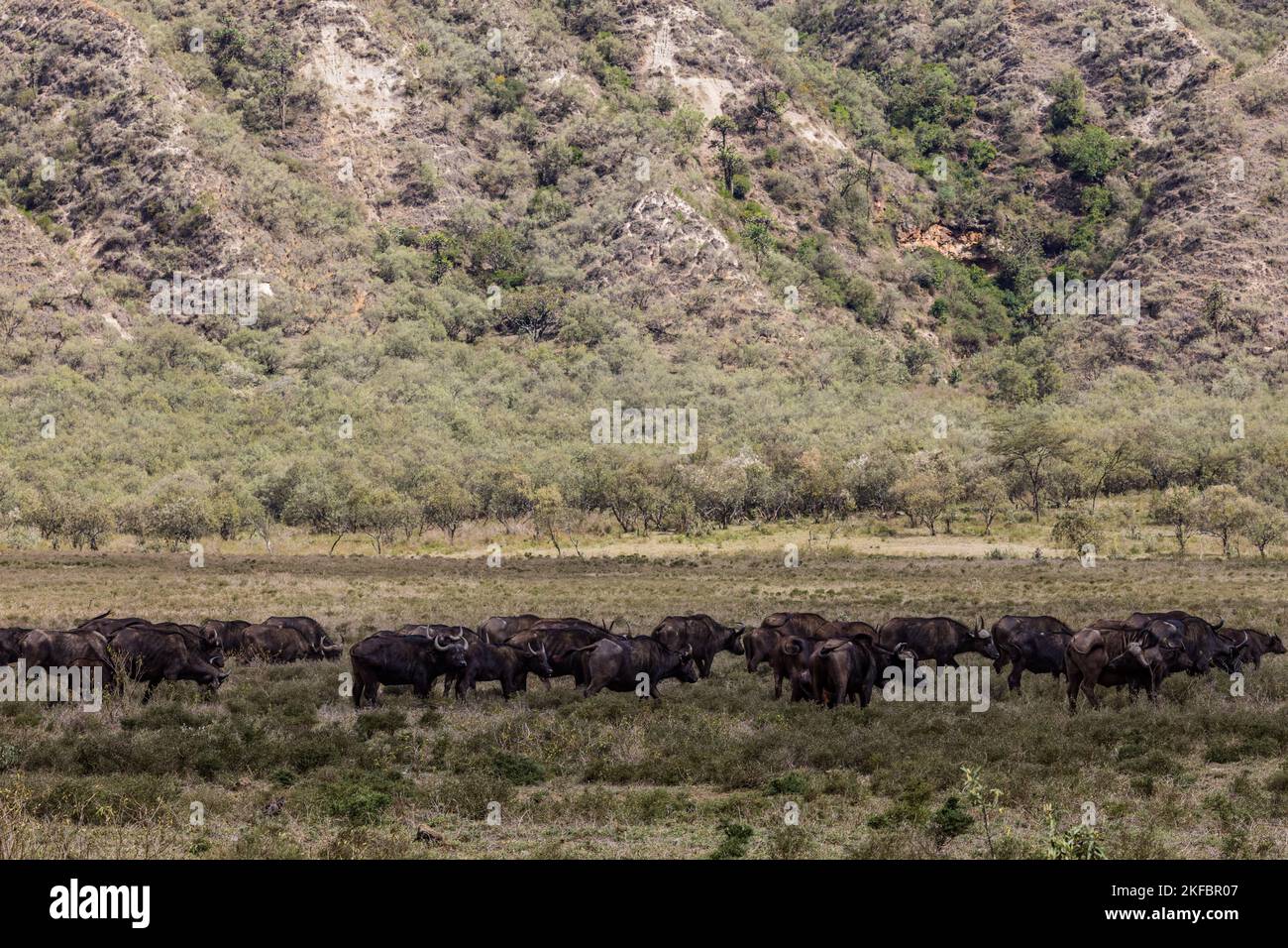 Hell's Gate National Park lies south of Lake Naivasha in Kenya, north ...