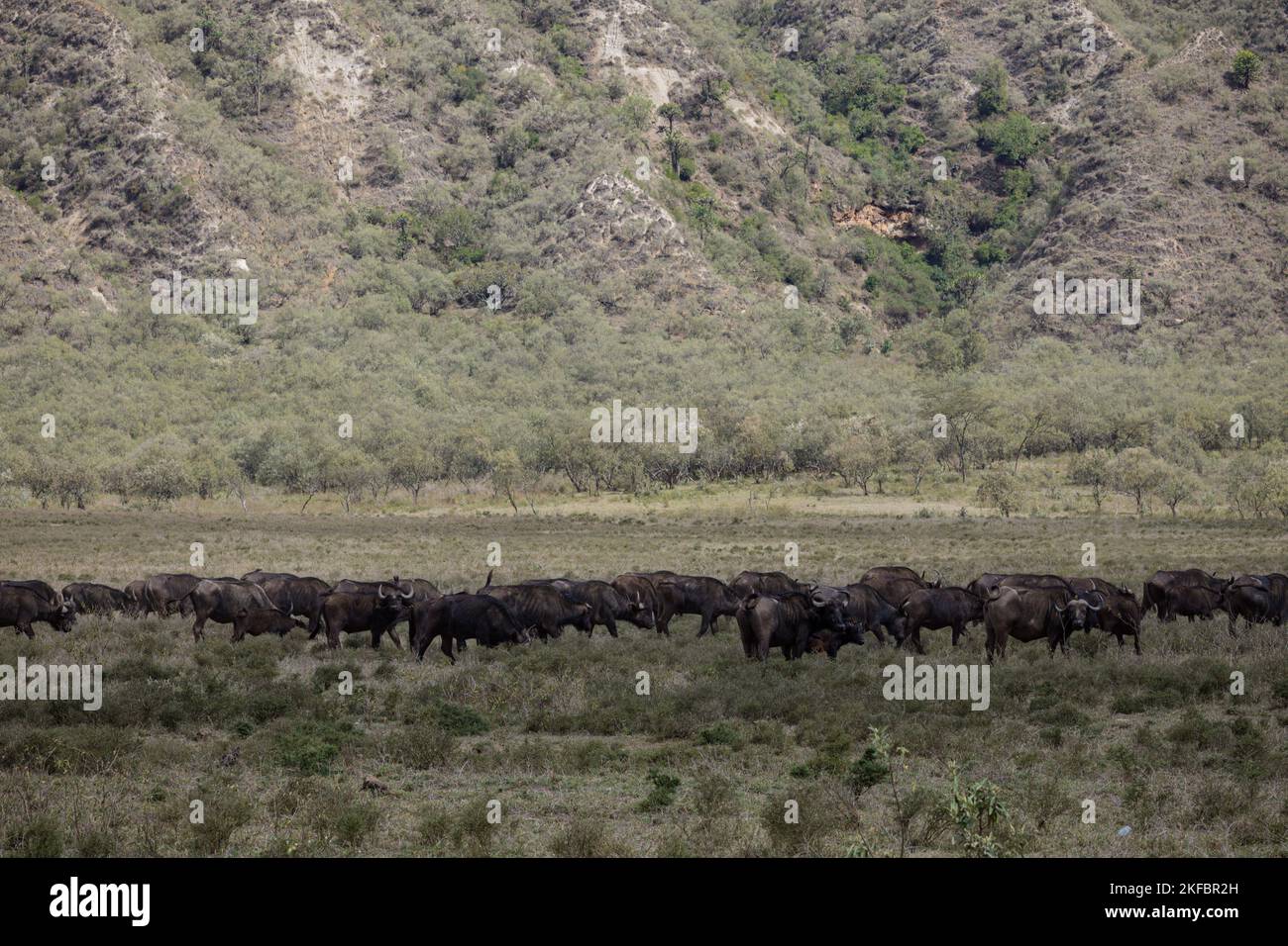 Hell's Gate National Park lies south of Lake Naivasha in Kenya, north ...