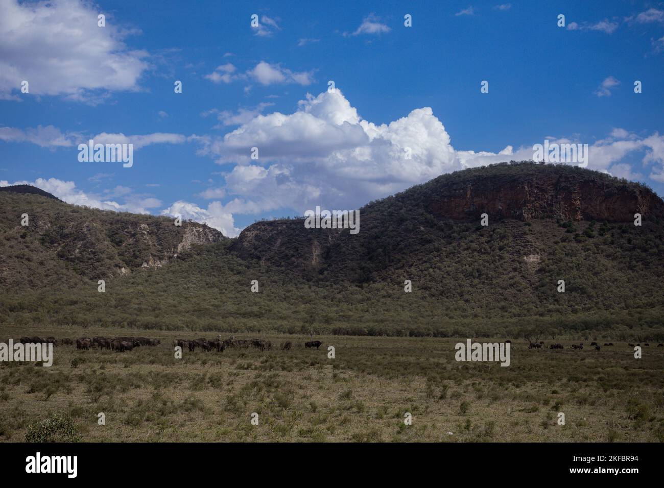 Hell's Gate National Park lies south of Lake Naivasha in Kenya, north ...