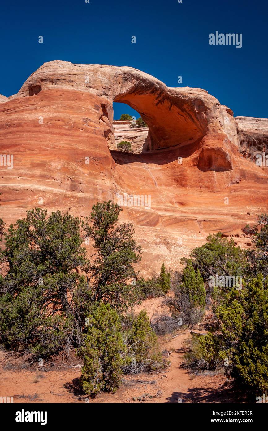A beautiful natural arch in a remote Colorado canyon Stock Photo - Alamy