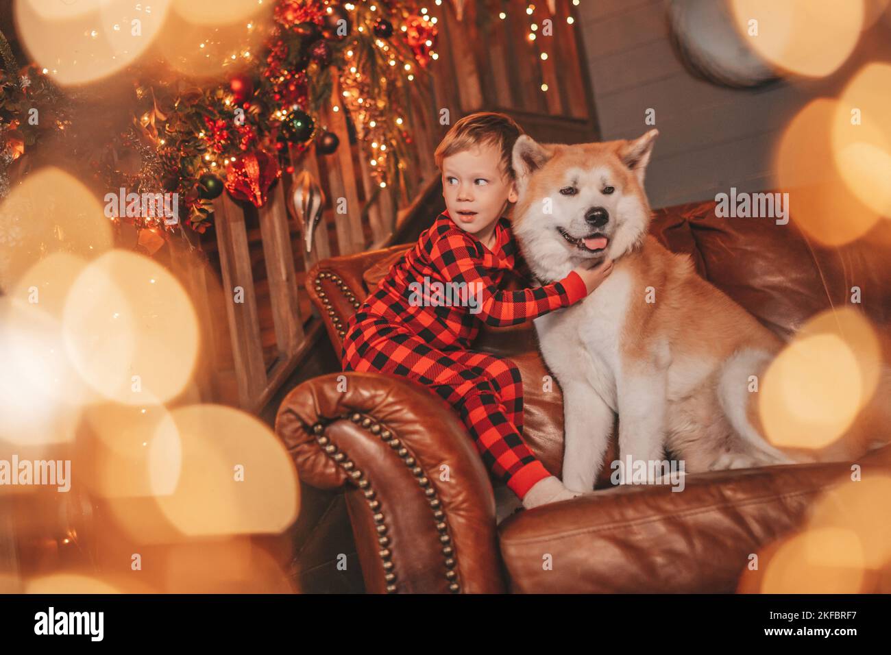 Smile small child having fun with dog waiting for miracle Santa at noel ...
