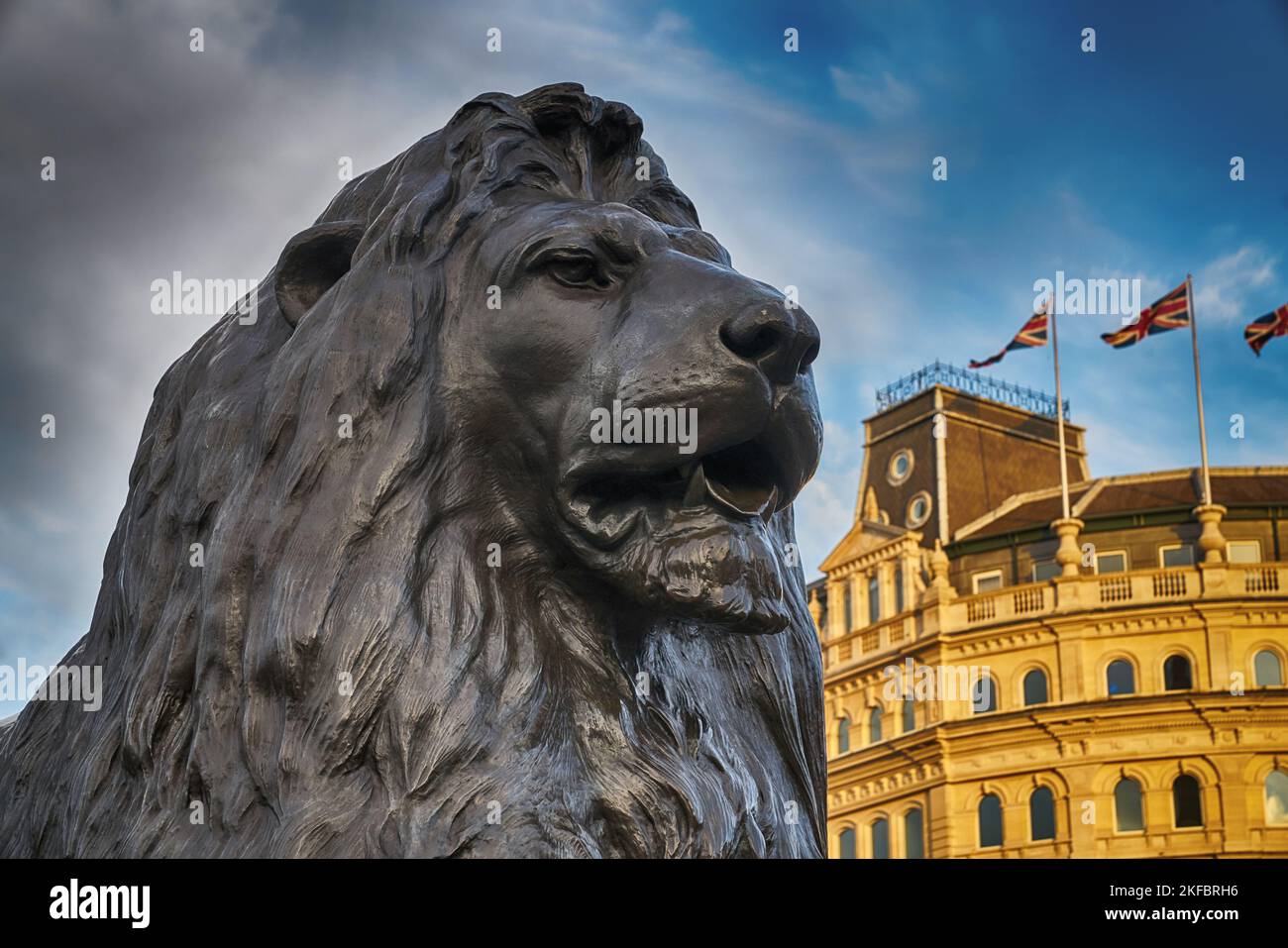 lion trafalgar square Stock Photo - Alamy