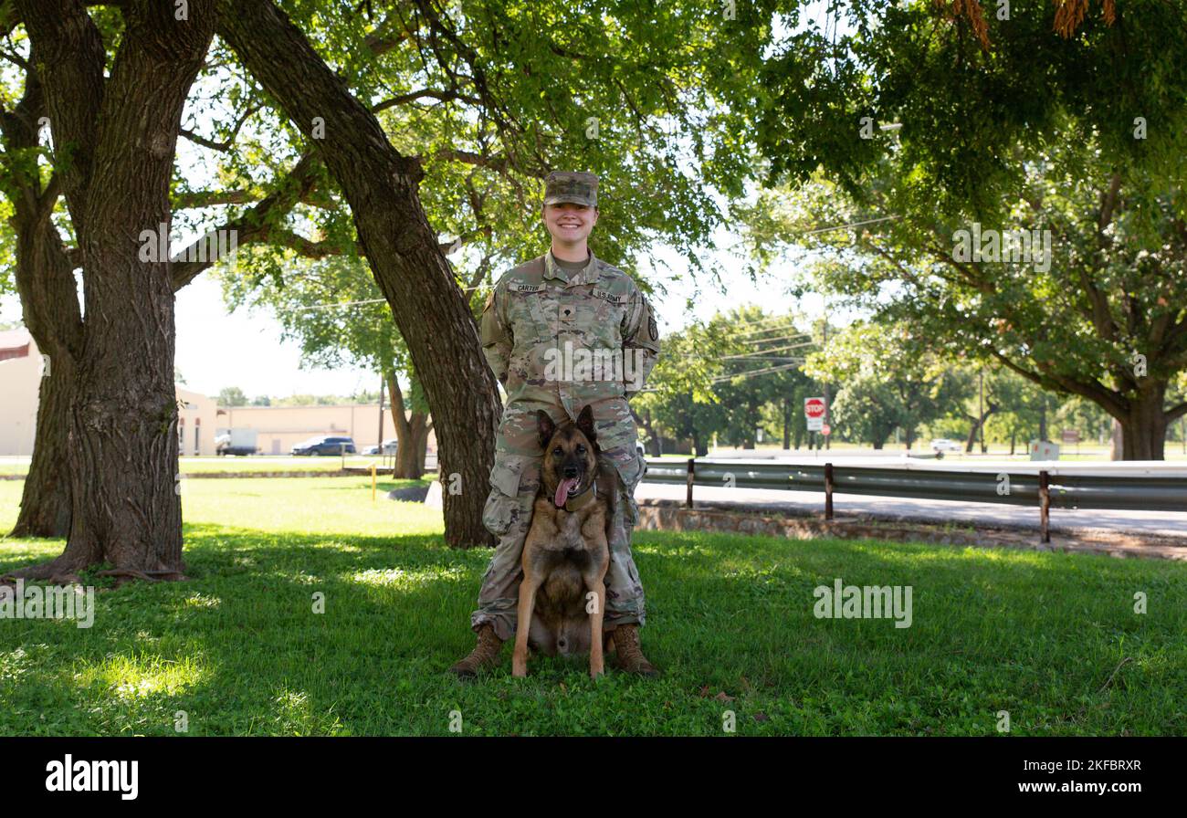 902d hi-res stock photography and images - Alamy