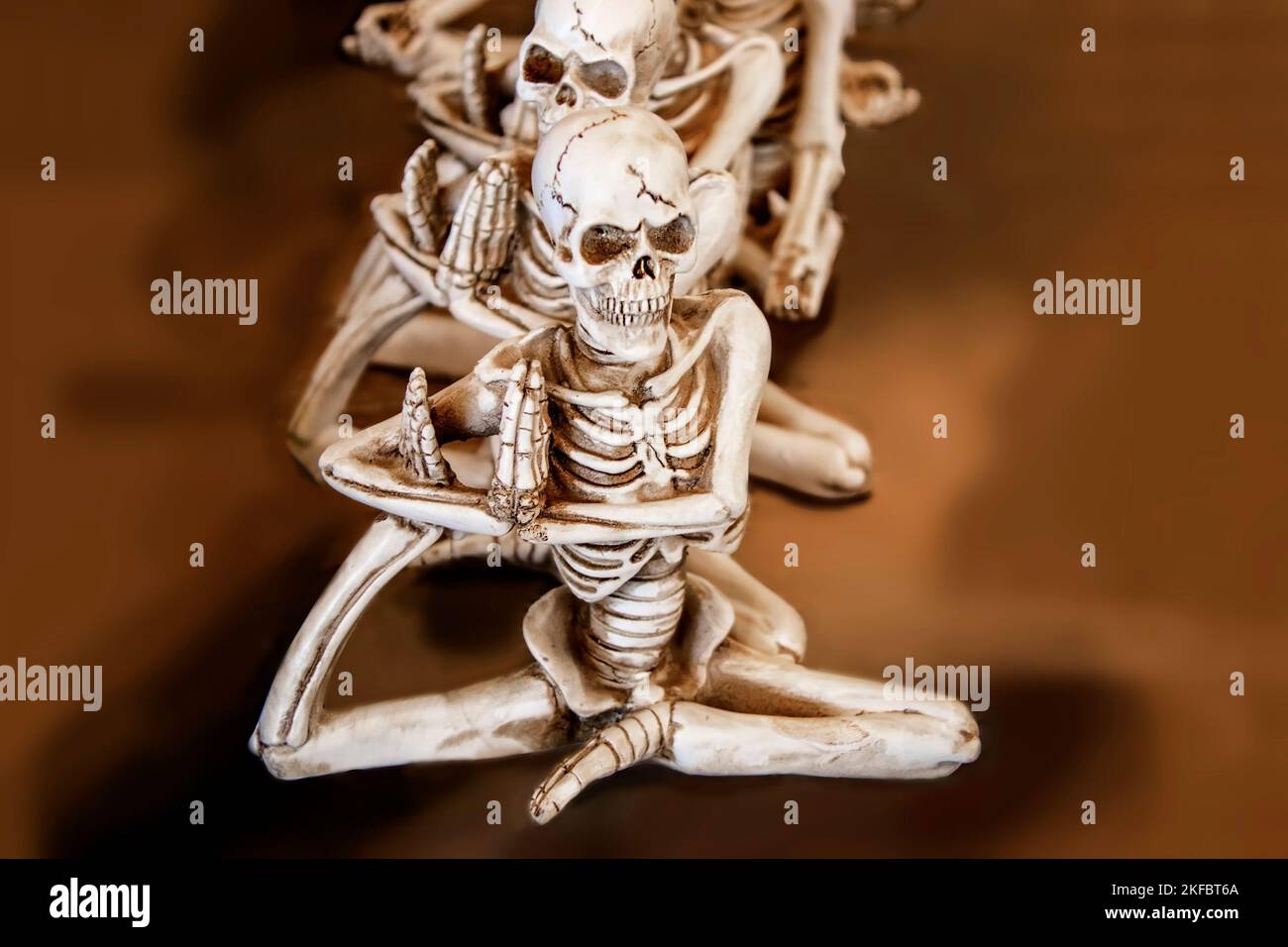 Skeletons in a row doing yoga with one foot up under their arms sitting ...