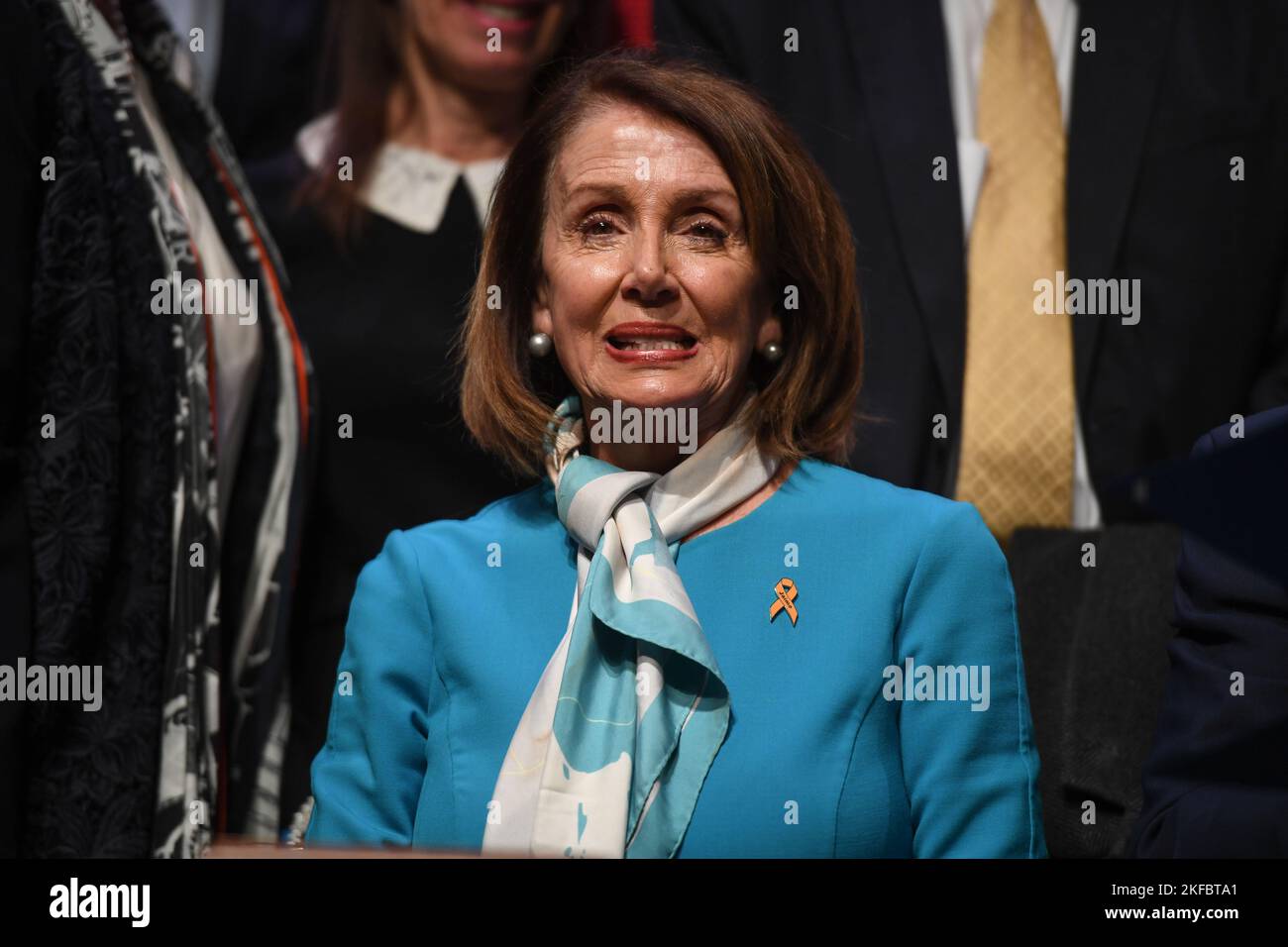 House Speaker Nancy Pelosi at the signing of New York's "red flag" gun ...