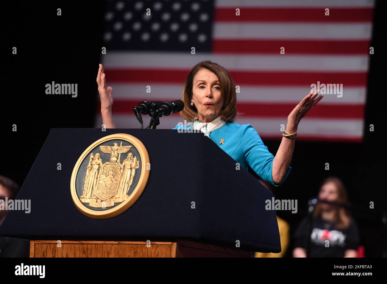 House Speaker Nancy Pelosi at the signing of New York's "red flag" gun ...