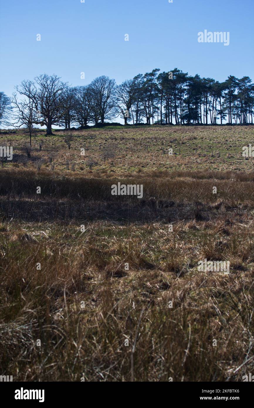 Scottish Winter Landscape Stock Photo - Alamy