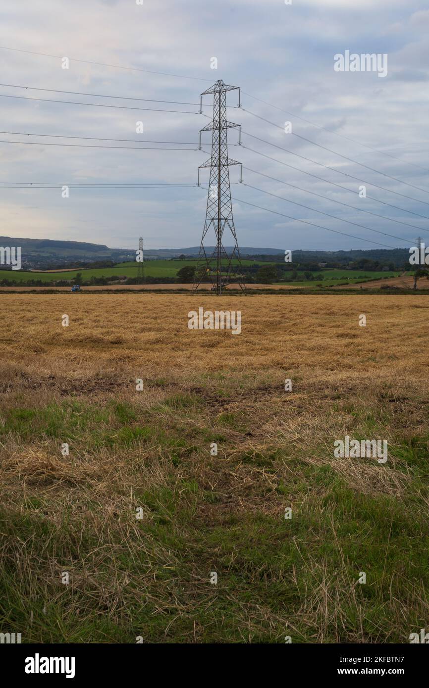 Power Pylons in a farm field Stock Photo - Alamy