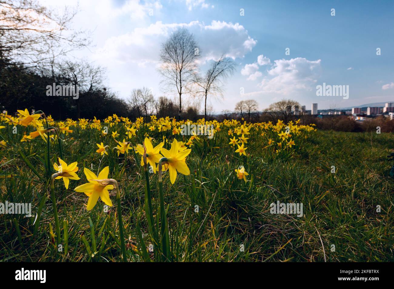 Views of Glasgow Stock Photo - Alamy