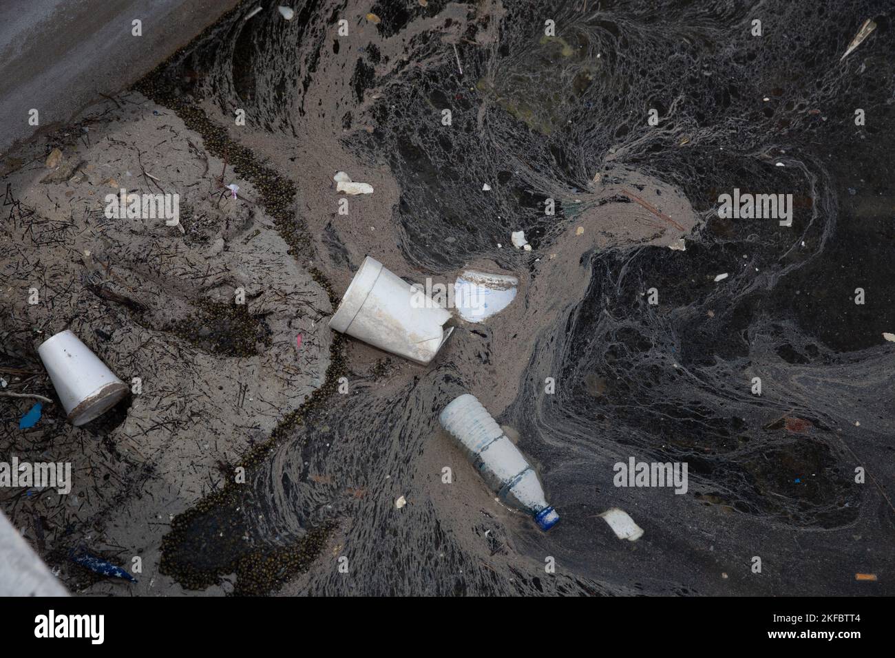 Styrofoam Cups and Bottle Water Pollution Stock Photo - Alamy