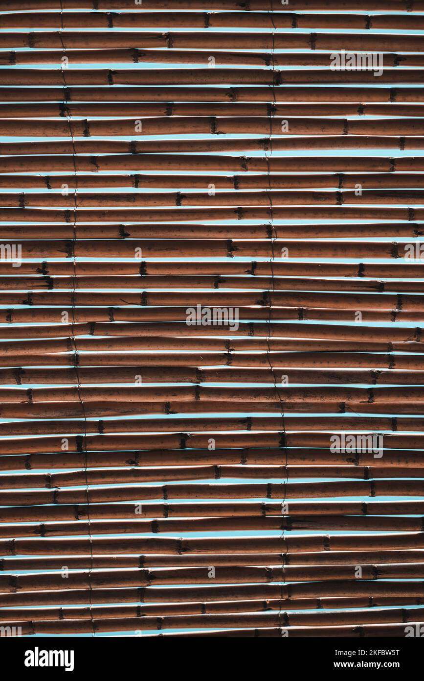 Background Of Bamboo Sticks Roof Through Which Can See Sky And Sunlight ...