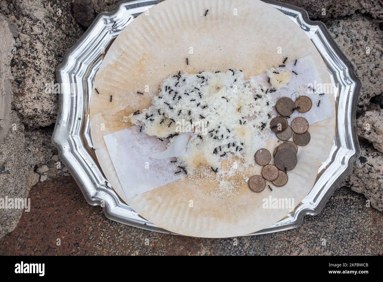 Obatala statue hi-res stock photography and images - Alamy