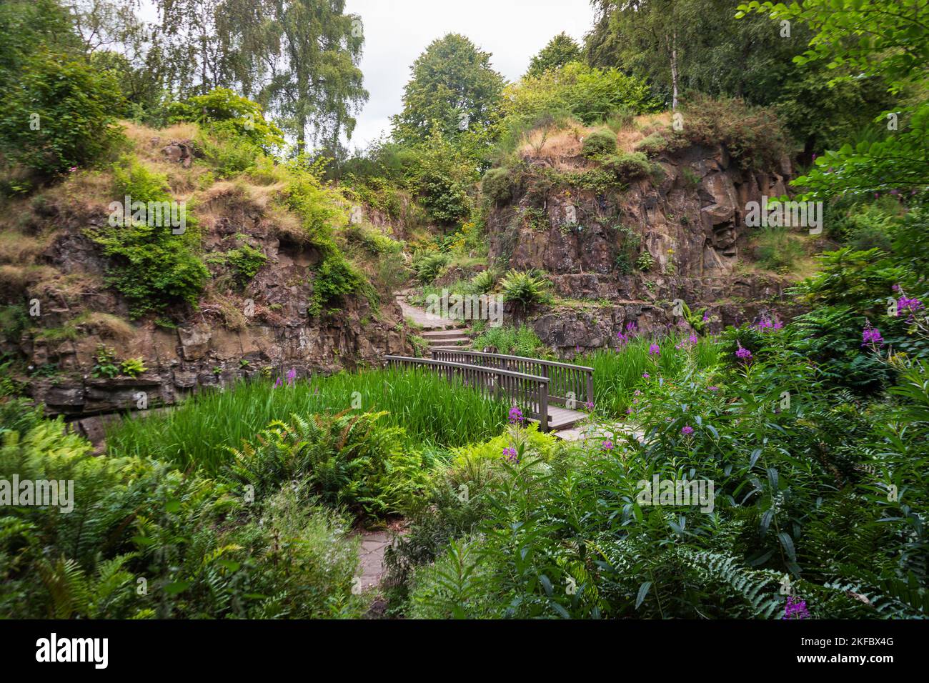 Glasgow's Famous Fossil Park Stock Photo - Alamy