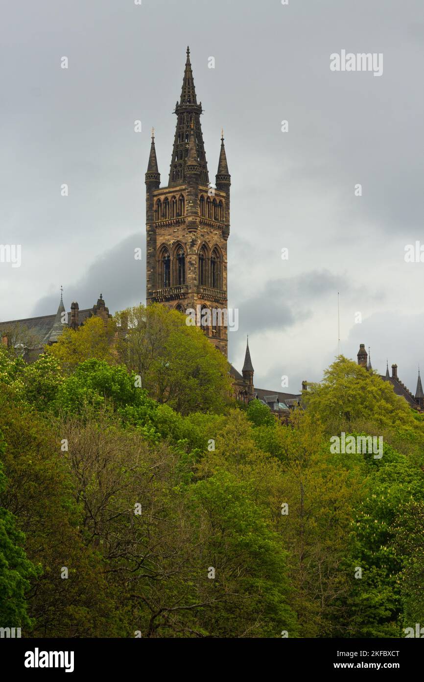 campus gardens,landscape,historic,higher education,university grounds ...