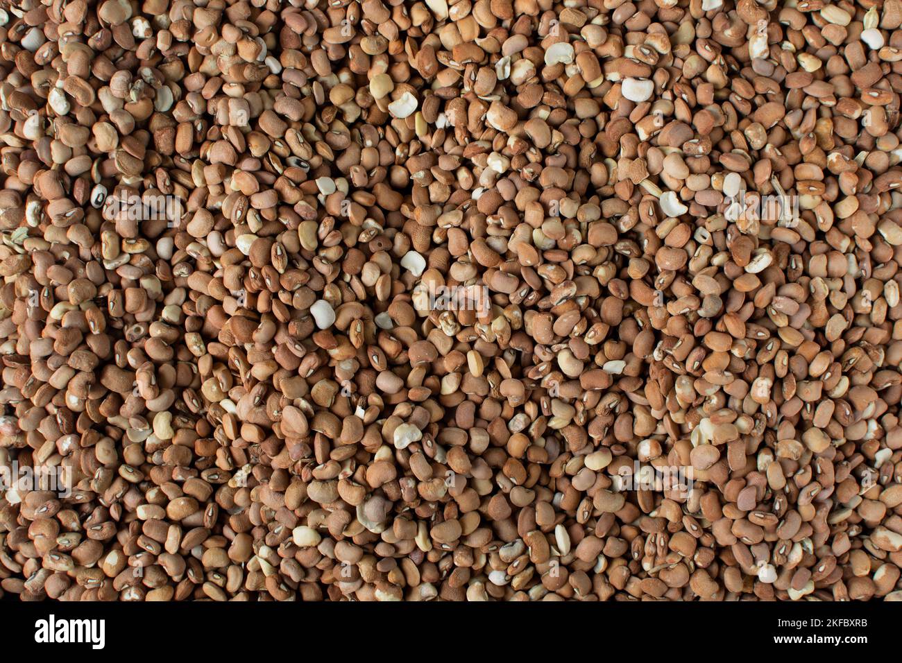 Brown beans, pinto beans, Nigerian oloyin beans, top view of beans ...