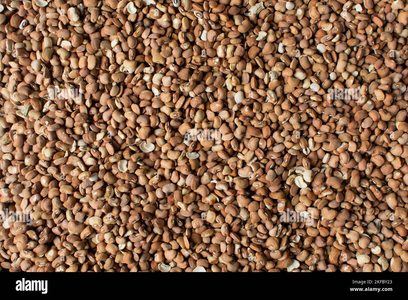Brown beans, pinto beans, Nigerian oloyin beans, top view of beans ...