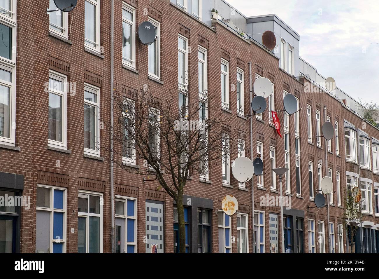 Social rental housing. in Rotterdam Charles. Photo: ANP / Hollandse ...