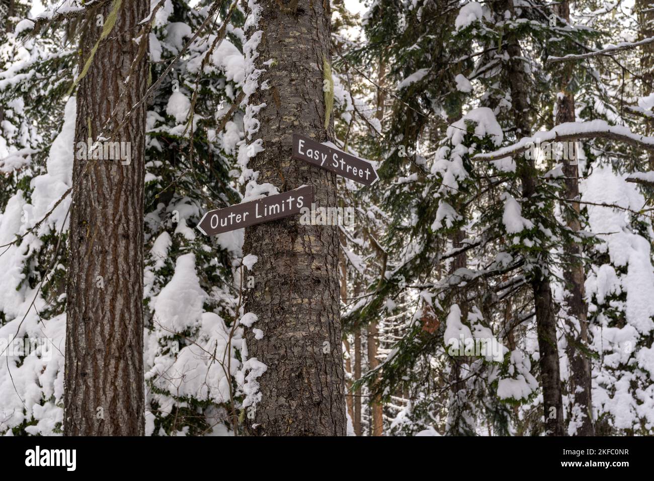 Tall marker hi-res stock photography and images - Alamy