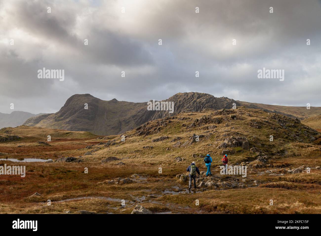 Three walkers heading towards Pavey Ark Stock Photo - Alamy