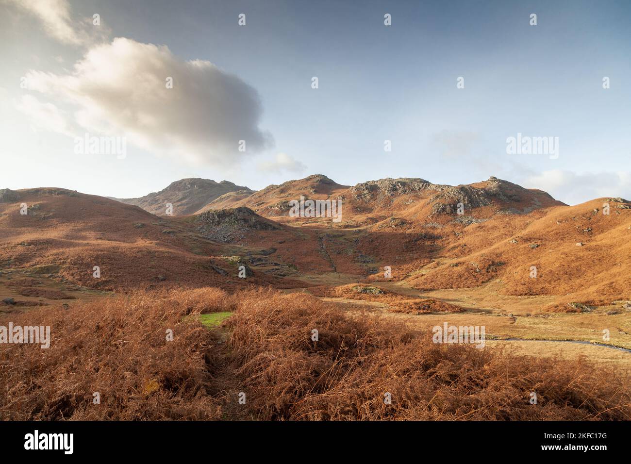 Looking back to Tarn Crag from the descent into Grasmere ,Cumbria ...