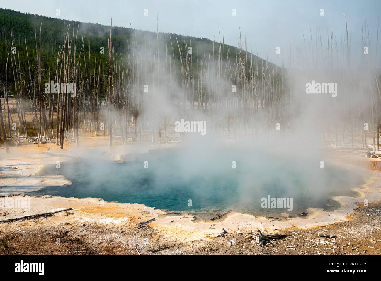 Cistern spring yellowstone hi-res stock photography and images - Alamy