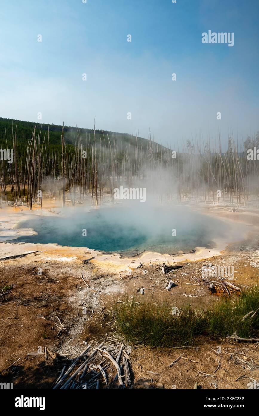 Cistern spring yellowstone hi-res stock photography and images - Alamy