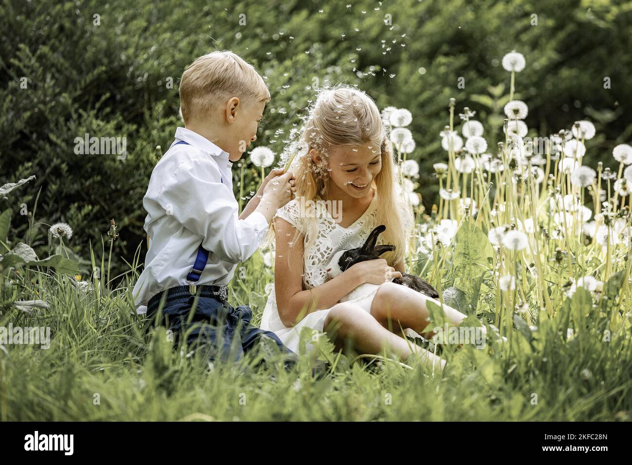 children with Rabbit Stock Photo - Alamy
