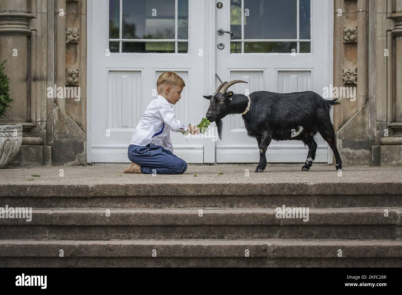 boy with Goat Stock Photo - Alamy
