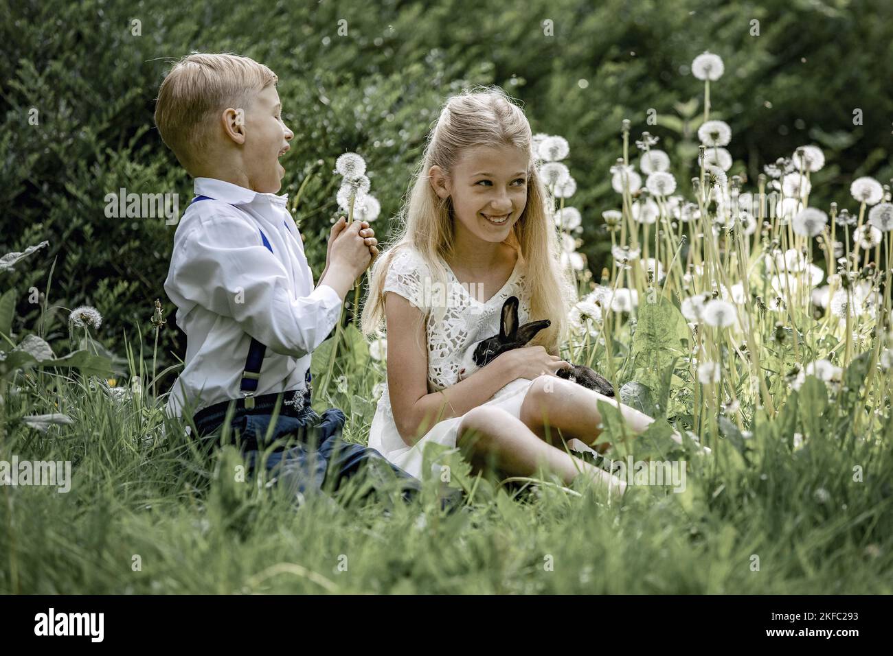 Two rabbits hugging hi-res stock photography and images - Alamy