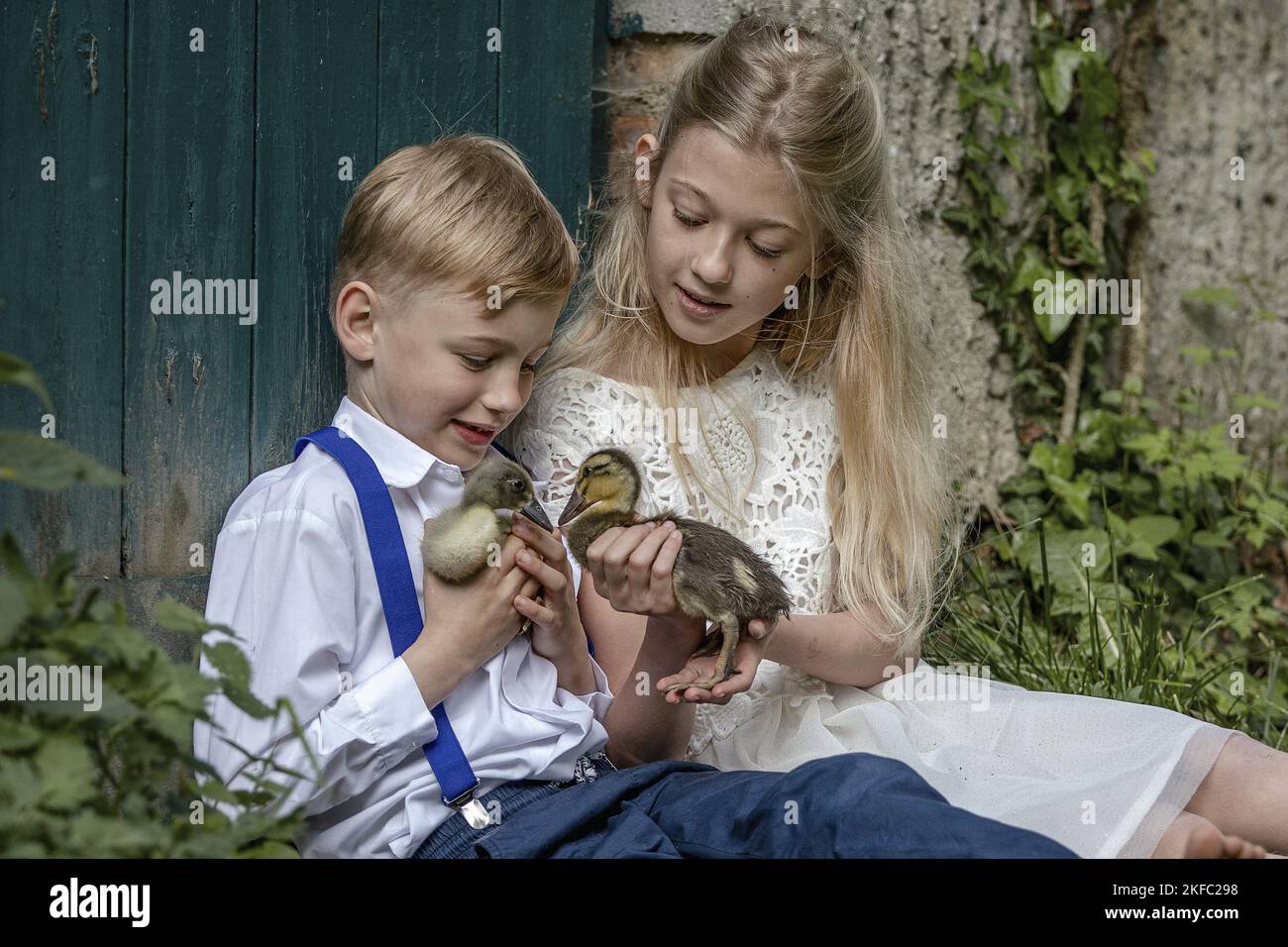 childrens with Duckling Stock Photo - Alamy