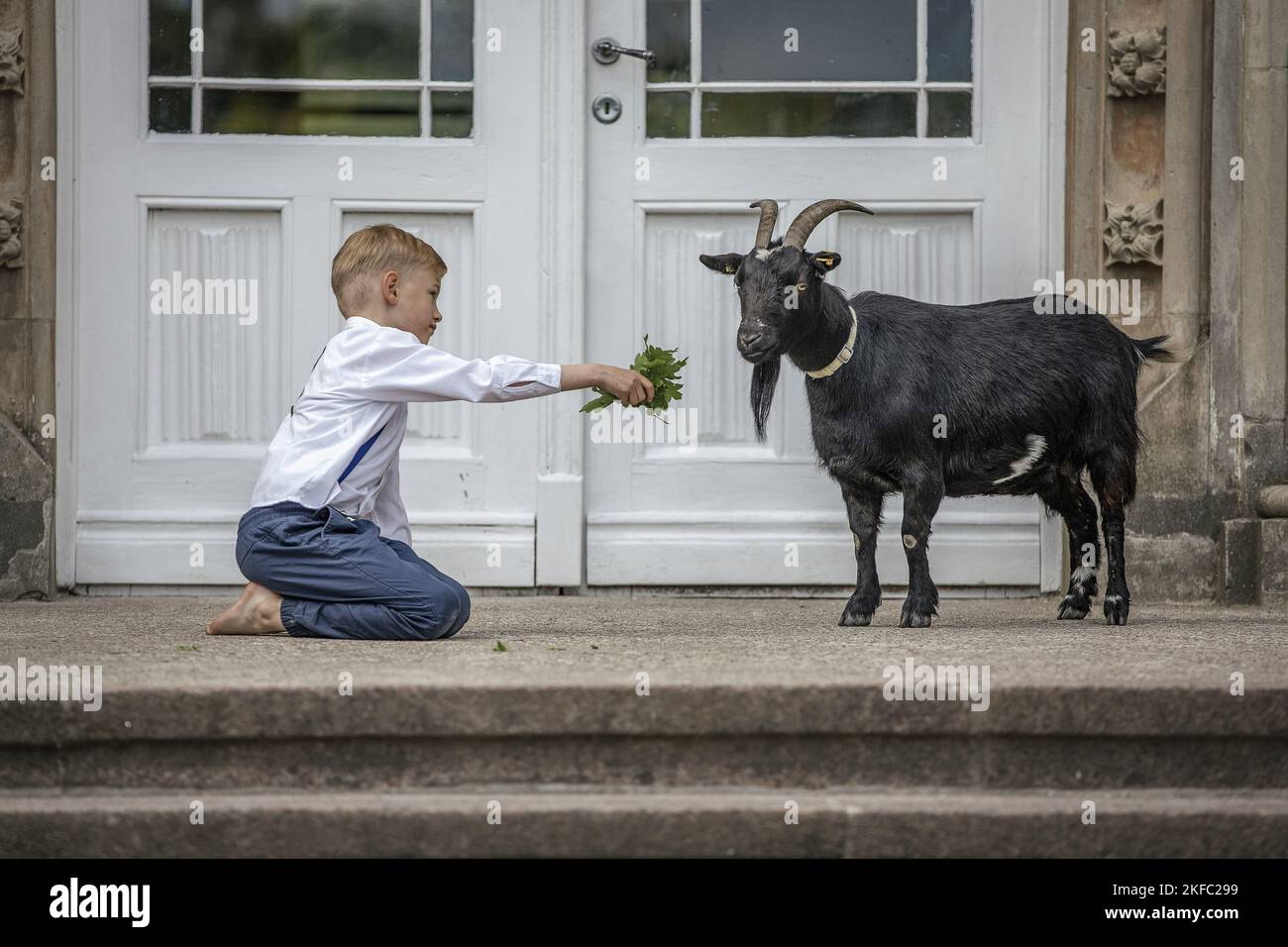 boy with Goat Stock Photo - Alamy