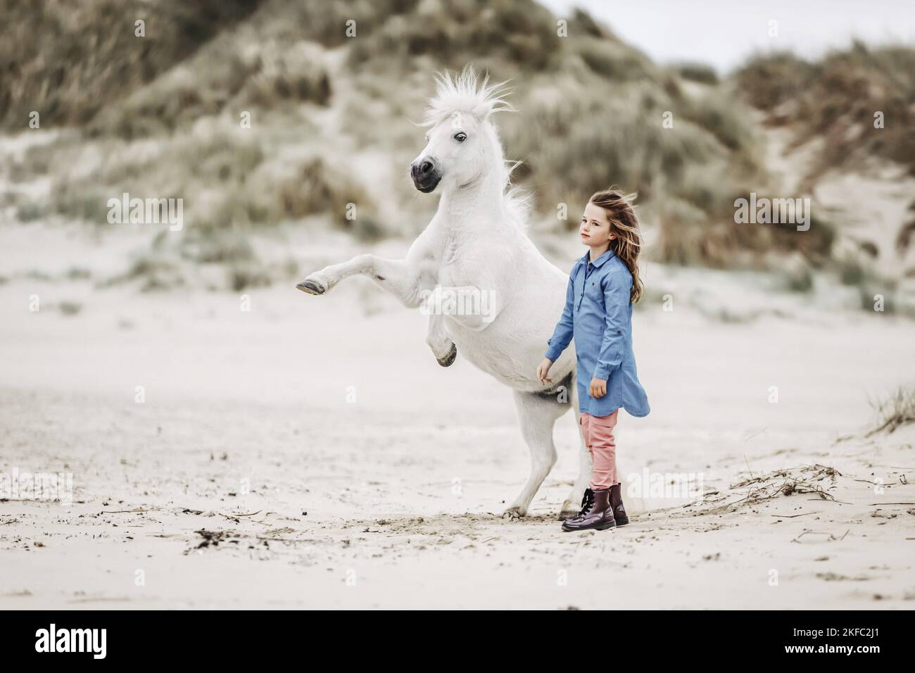 Girls legs rear view hi-res stock photography and images - Alamy