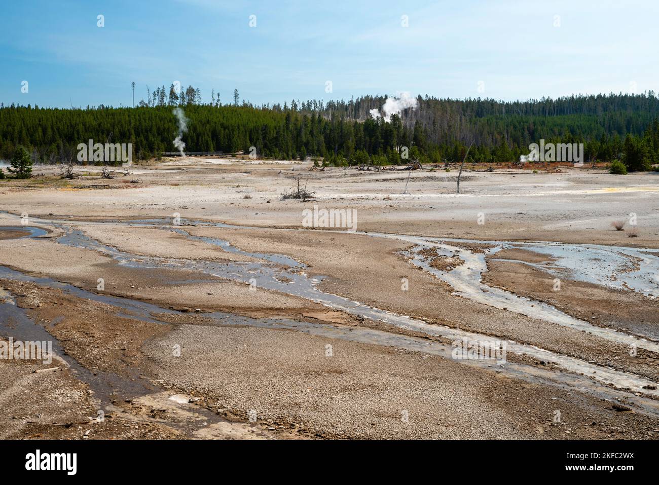 A photograph of Norris Geyser Basin; Yellowstone National Park; Wyoming ...