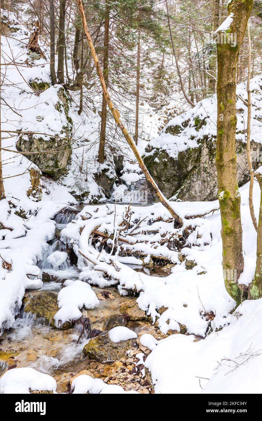 Slovakia national park Mala Fatra, Janosikove diery, Terchova village ...