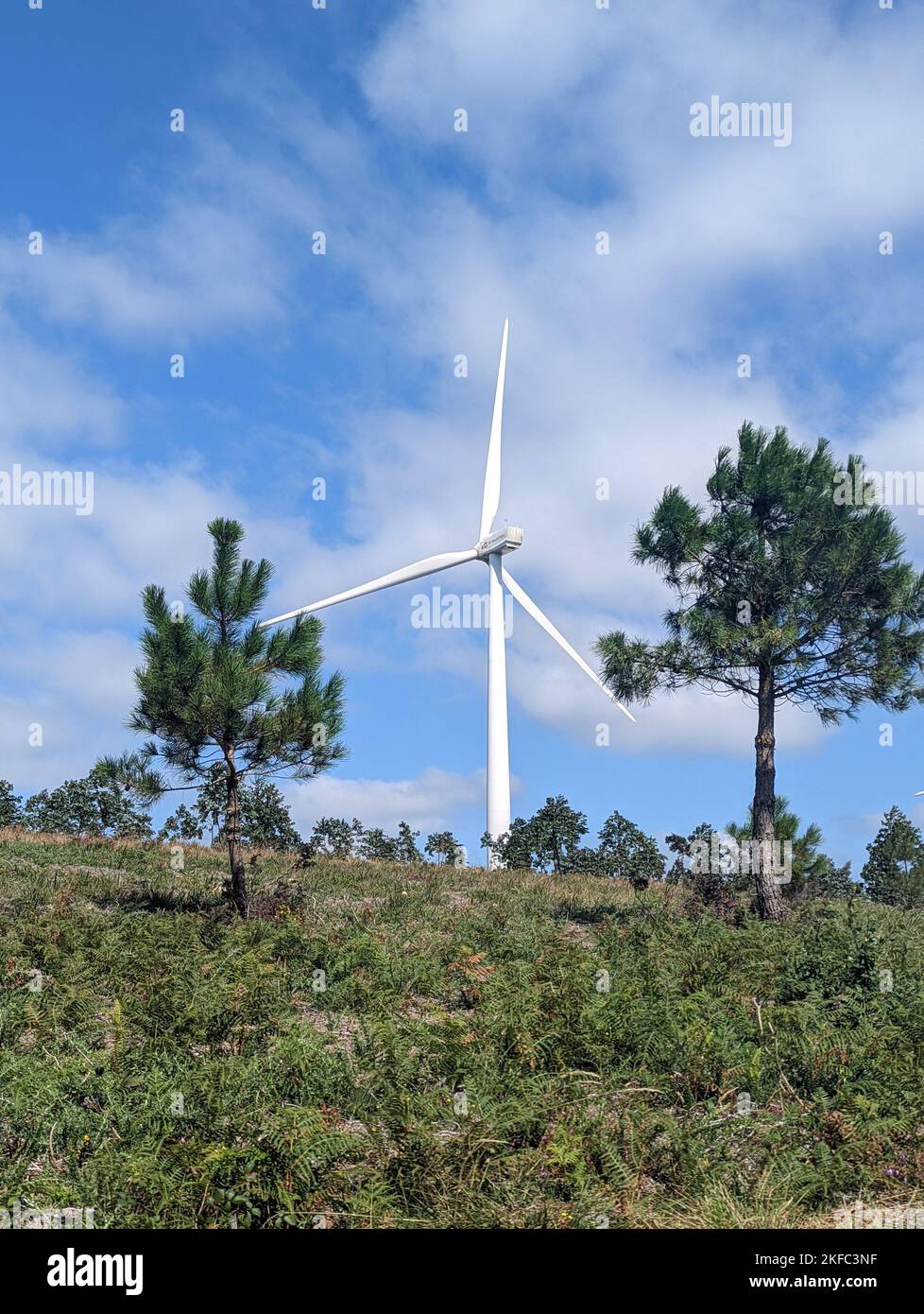 A closeup of a wind turbine surrounded by beautiful trees against a ...