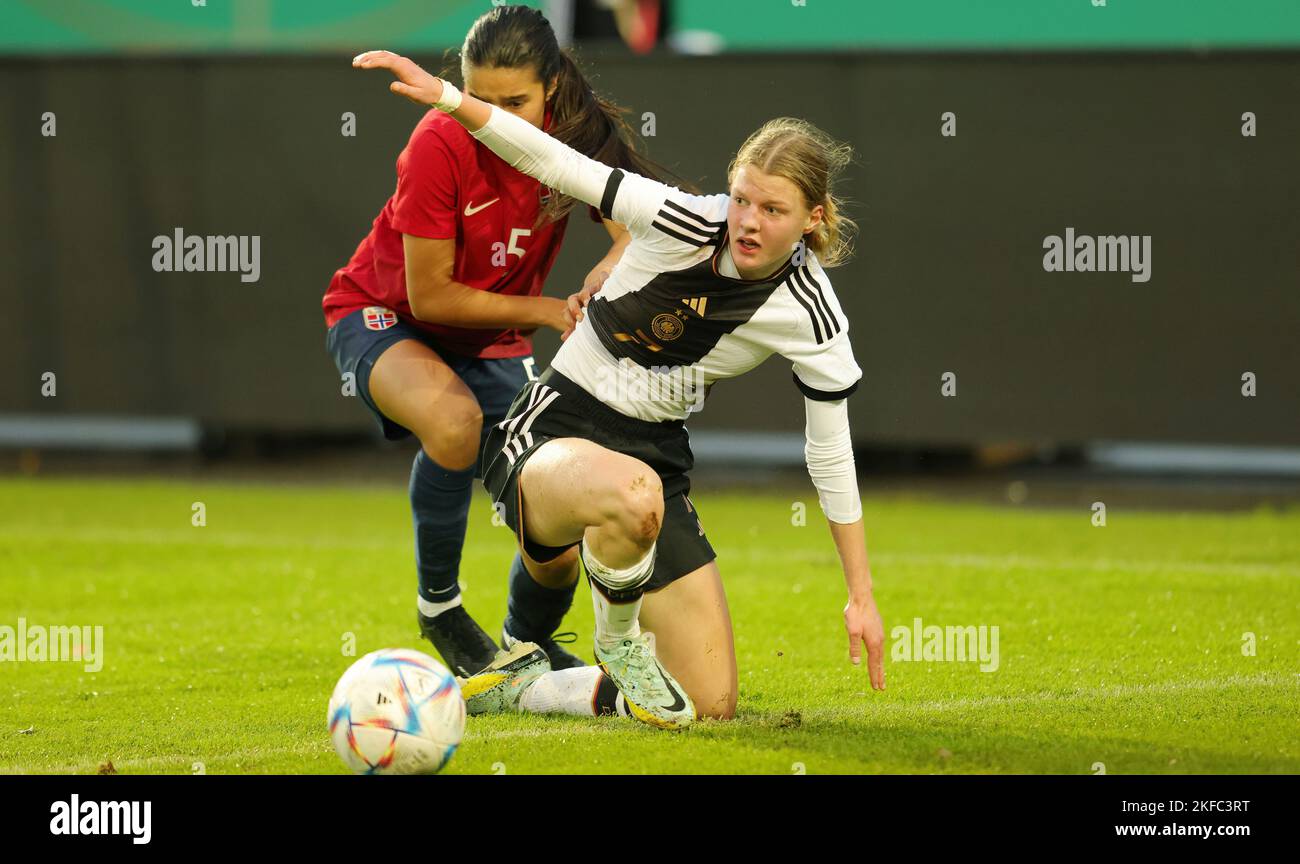 Muenster, Deutschland. 17th Nov, 2022. firo: 17.11.2022, football ...