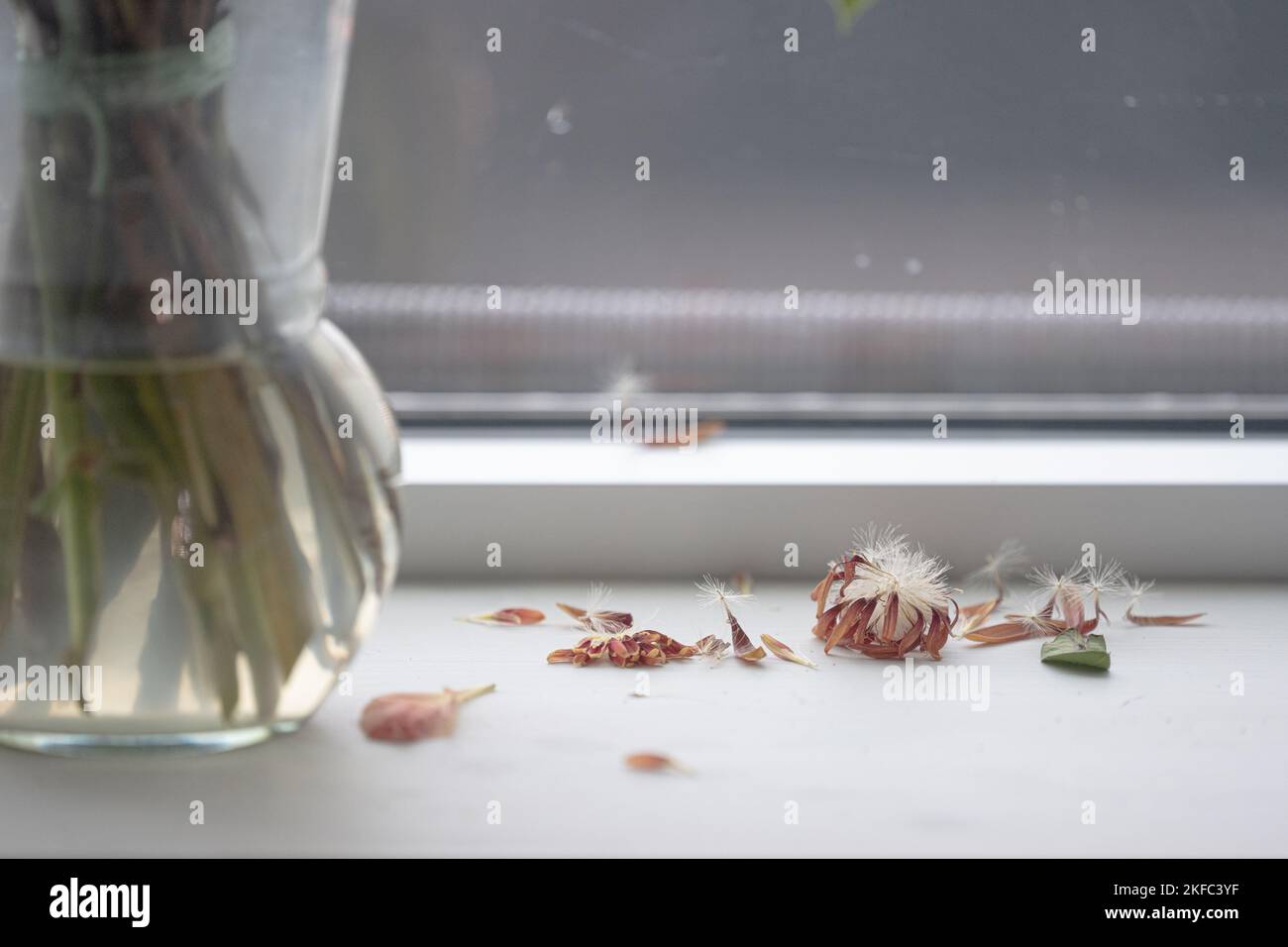 Leaves ans seeds of a flower fallen from a blower in a vase Stock Photo ...