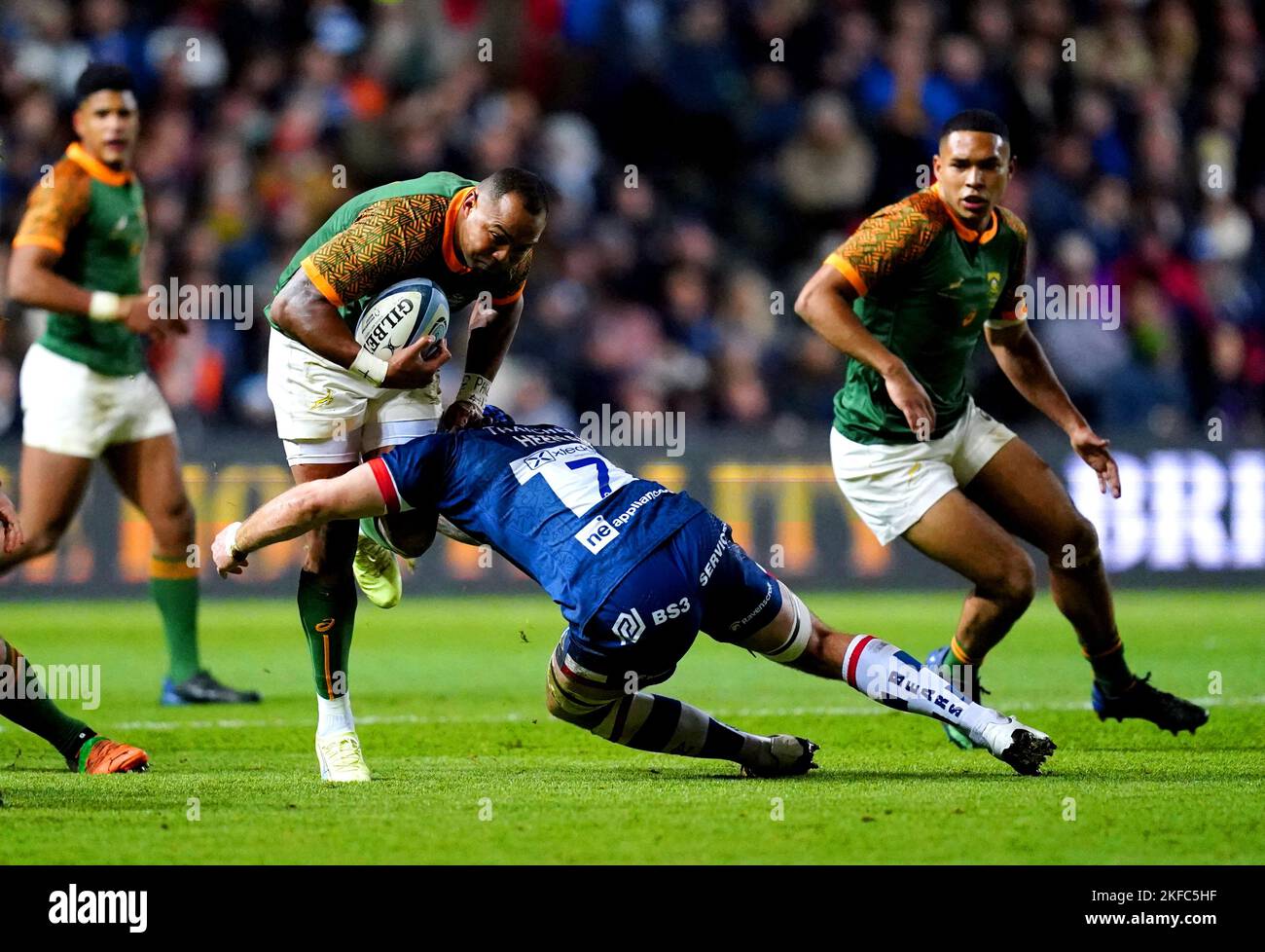 Jake heenan bears hi-res stock photography and images - Alamy