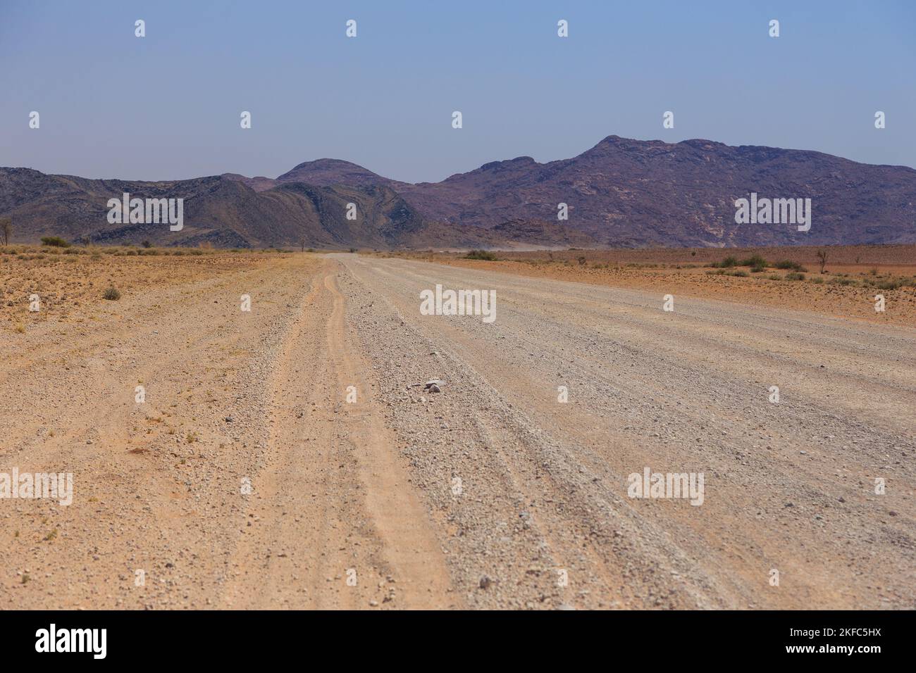 Namibian landscape along the gravel road. Yellow ground and African ...
